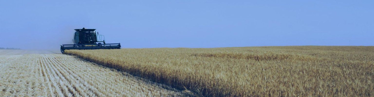 What is FIP Thread: The Comprehensive Guide - Topa