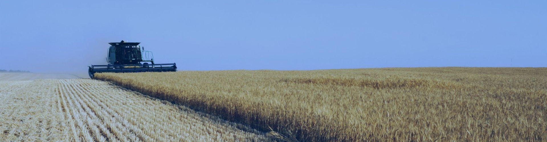 What is FIP Thread: The Comprehensive Guide - Topa