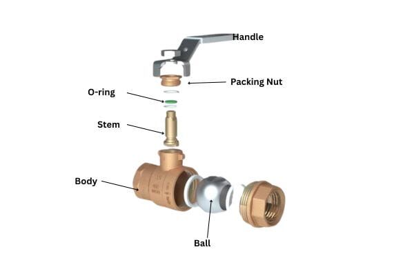 Ball Valve Basics: What You Need to Know for Fluid Control
